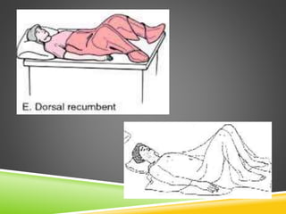 Dorsal Recumbent Position