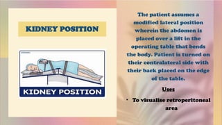 positions.pptx medical positions that we will use in the clinical ...