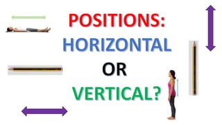 Positions vertical - horizontal | PPTX