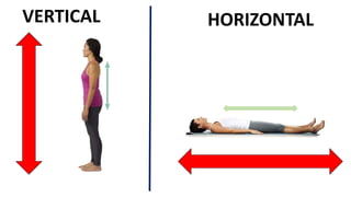 Positions vertical - horizontal | PPTX