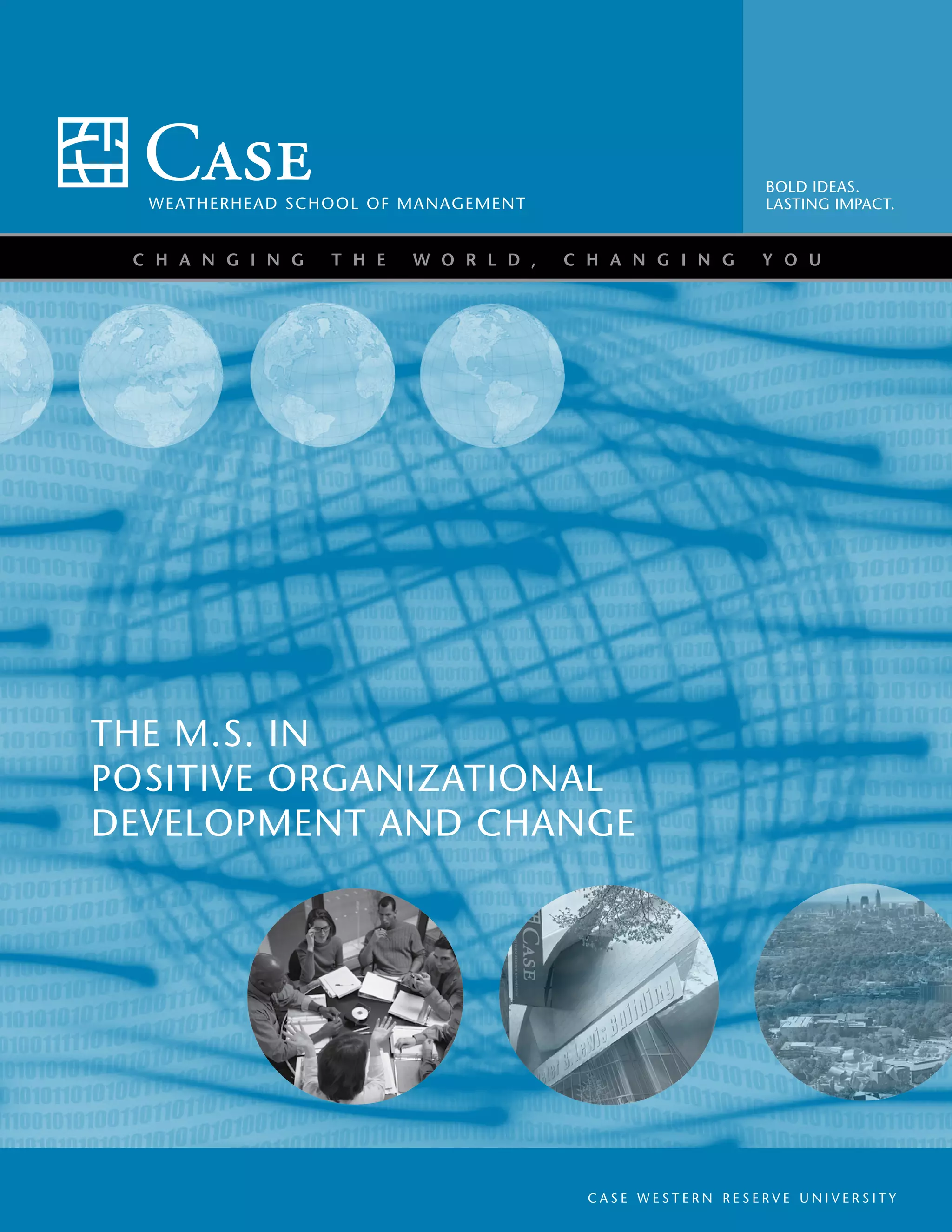 Positive Organizational Development Brochure | PDF