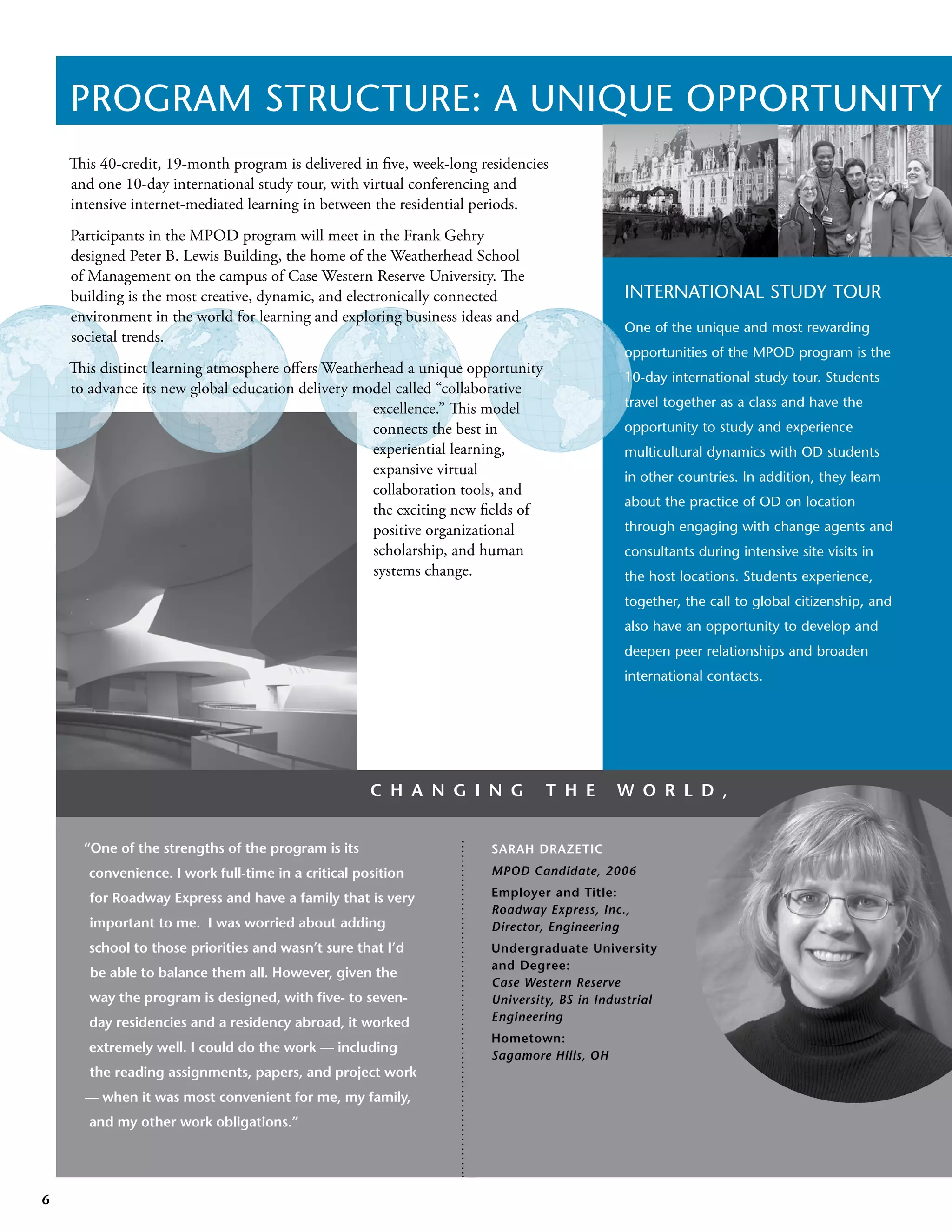 Positive Organizational Development Brochure | PDF