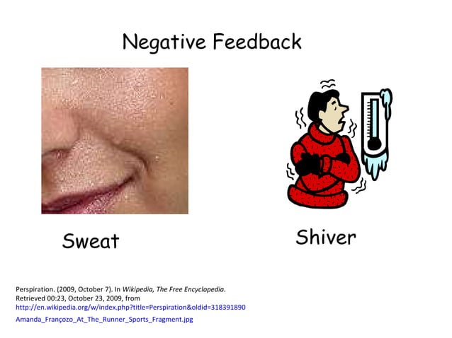 Positive And Negative Feedback | PPT | Endocrine and Metabolic Diseases ...
