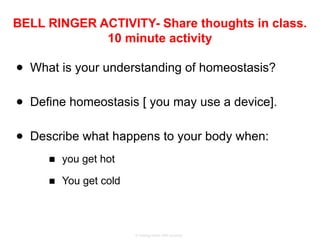 Understanding Homeostasis: Positive and Negative Feedback Mechanisms in ...