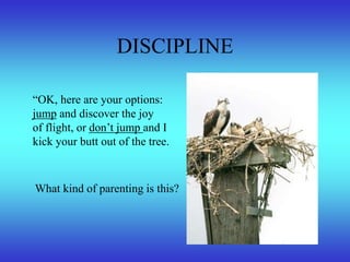 POSITIVE_DISCIPLINE.ppt