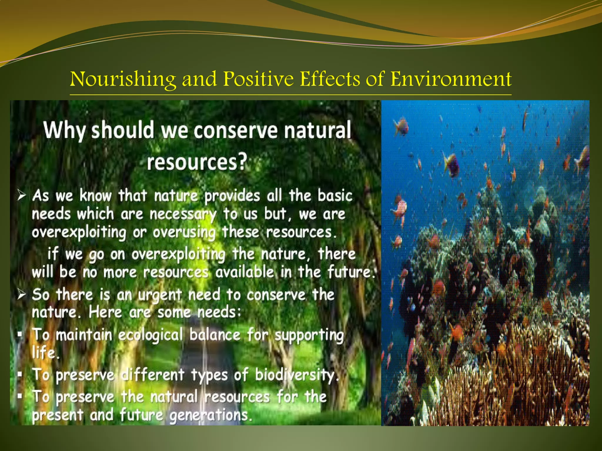 Positive impact of human activities | PPT