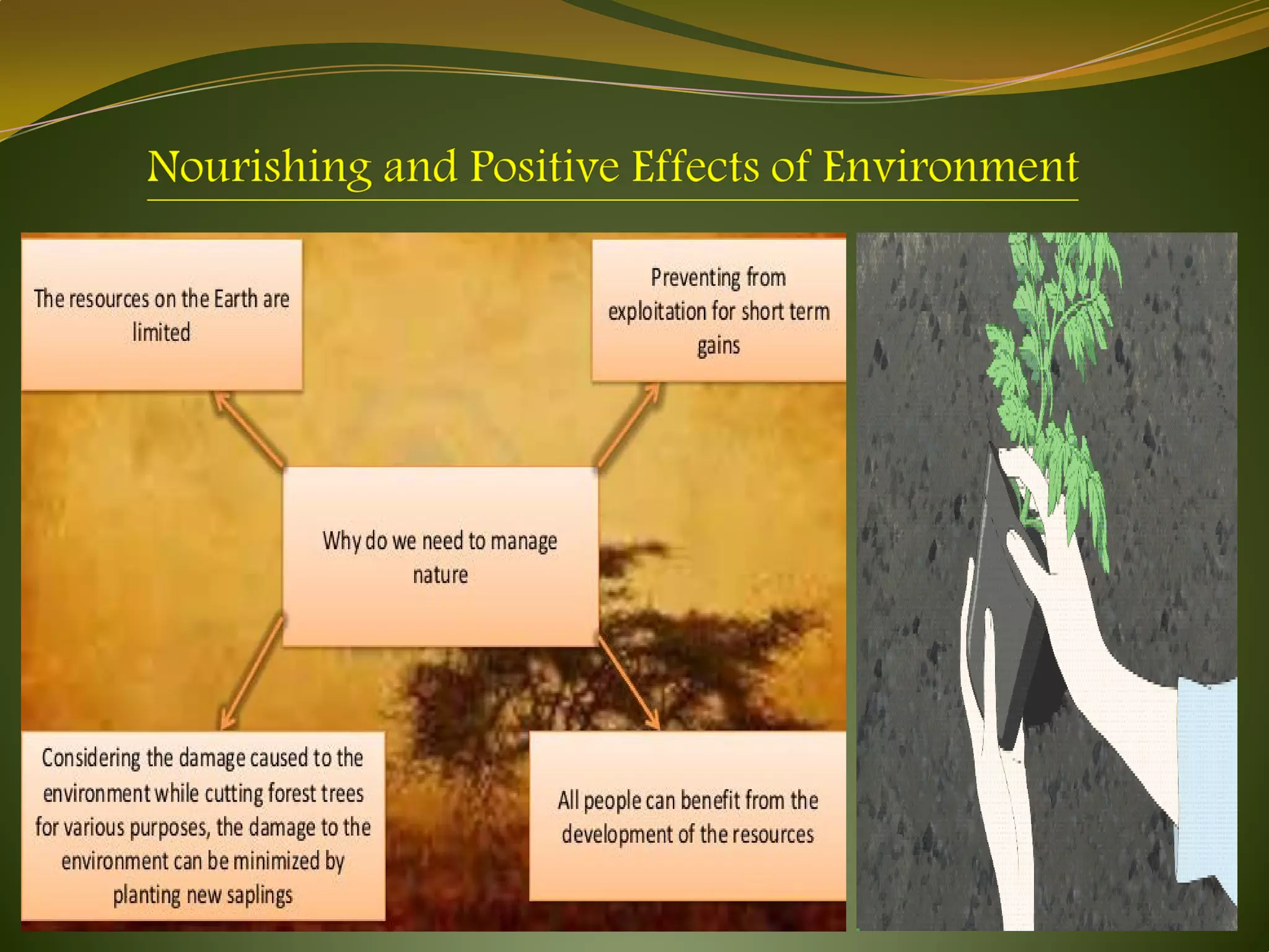 Positive impact of human activities | PPT