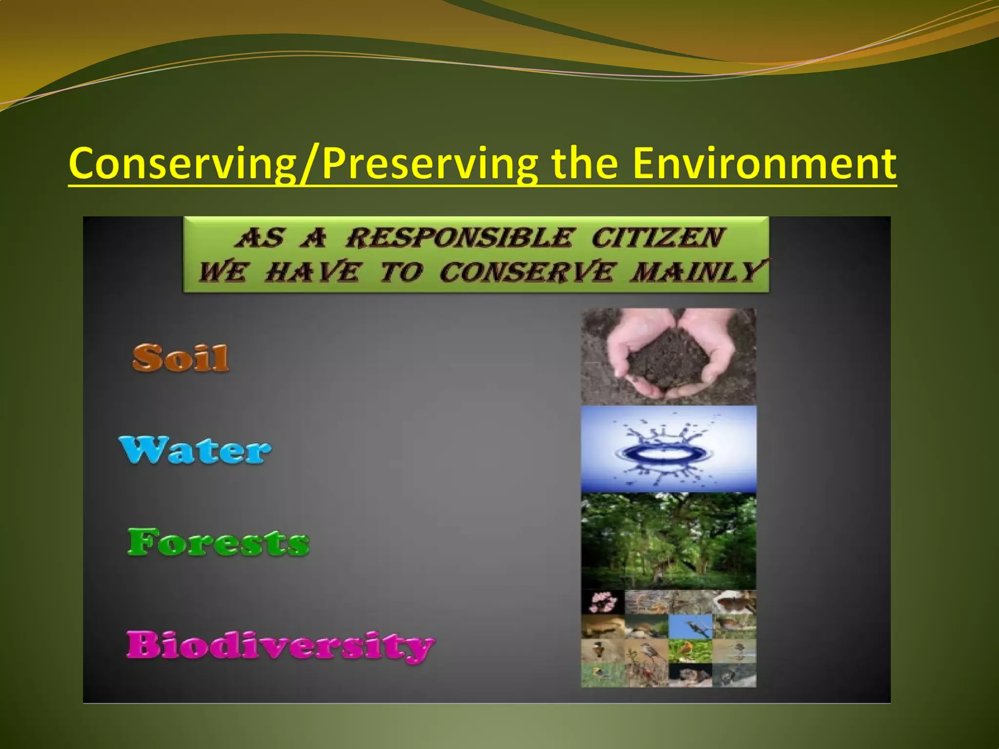 Positive impact of human activities | PPT