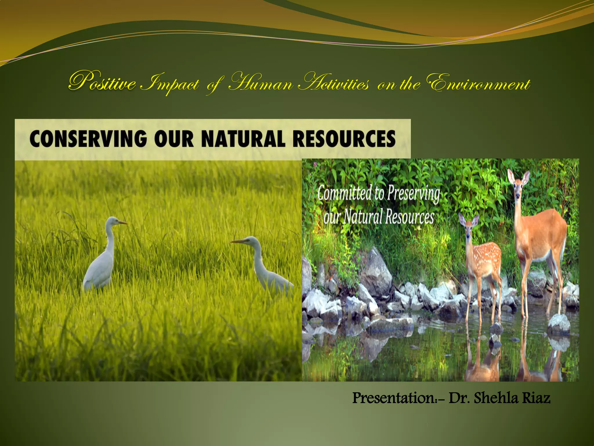 Positive impact of human activities | PPT