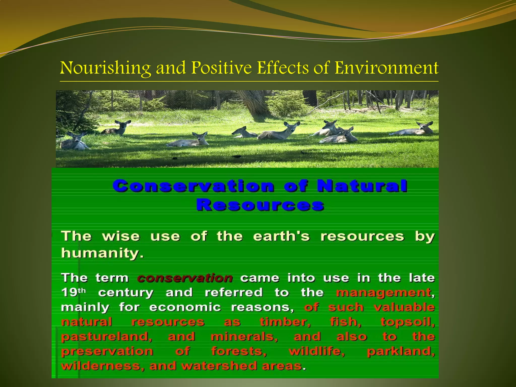 Positive impact of human activities | PPT