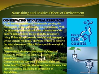 Positive impact of human activities | PDF