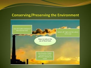 Positive impact of human activities | PDF