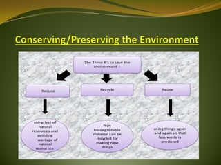 Positive impact of human activities | PDF