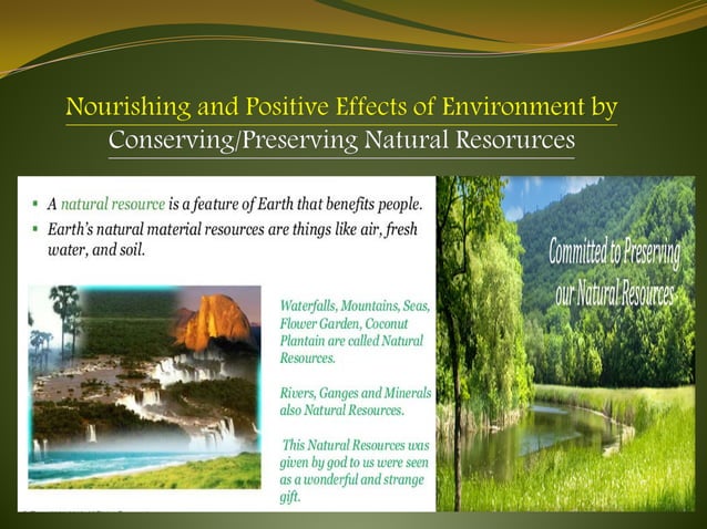 Positive impact of human activities | PDF
