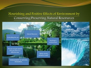 Positive impact of human activities | PPT