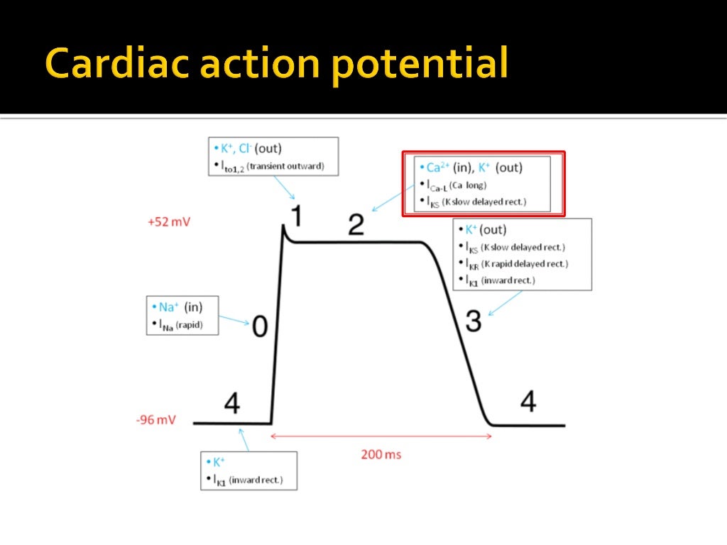 Positive Inotropes Vasopressors And Vasodilators