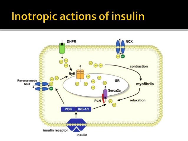 Positive inotropes, vasopressors, and vasodilators