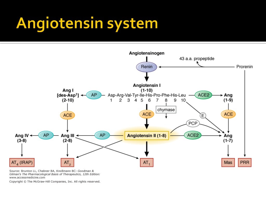 Positive Inotropes Vasopressors And Vasodilators