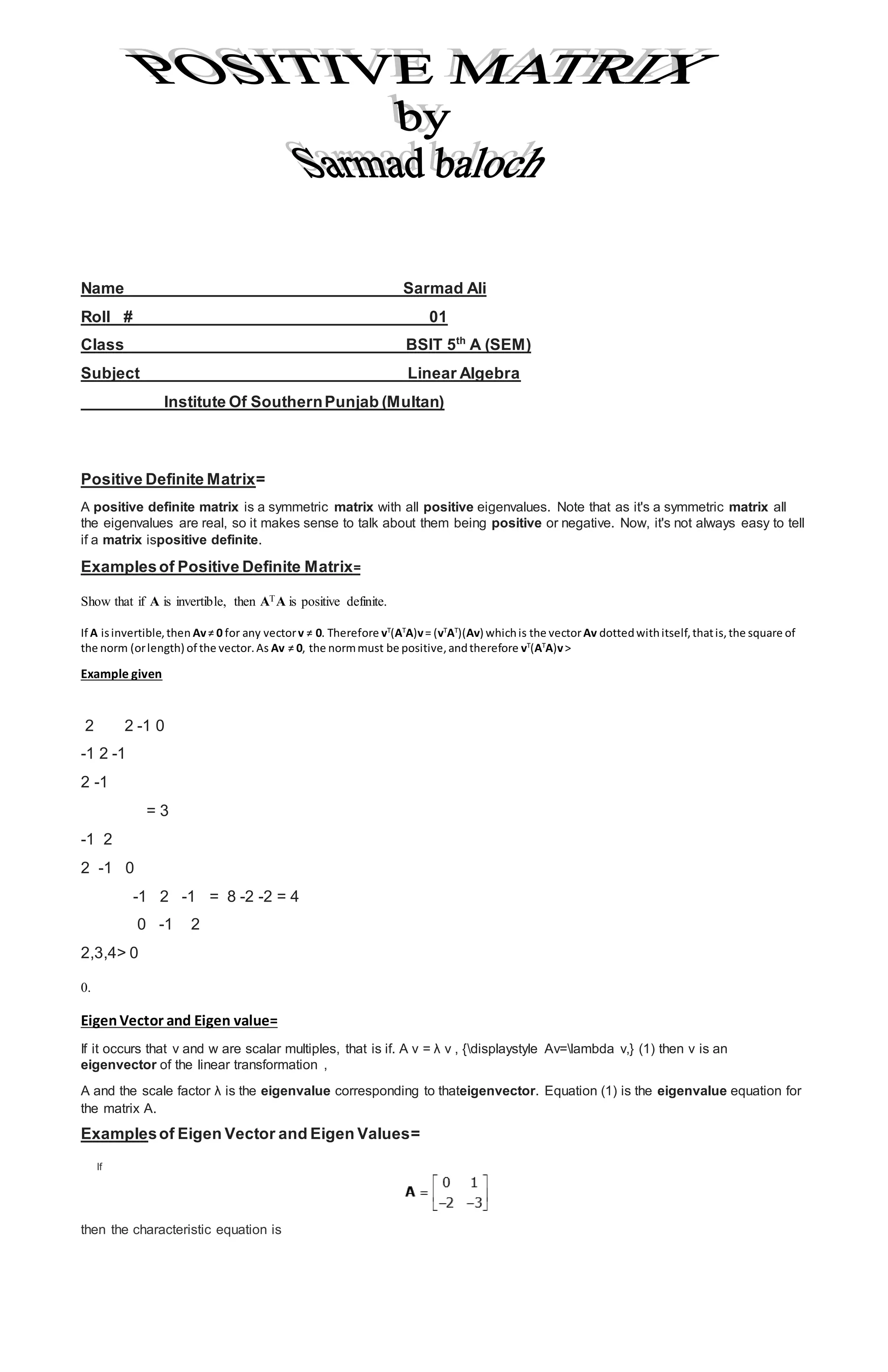Positive matrix by sarmad baloch | DOCX