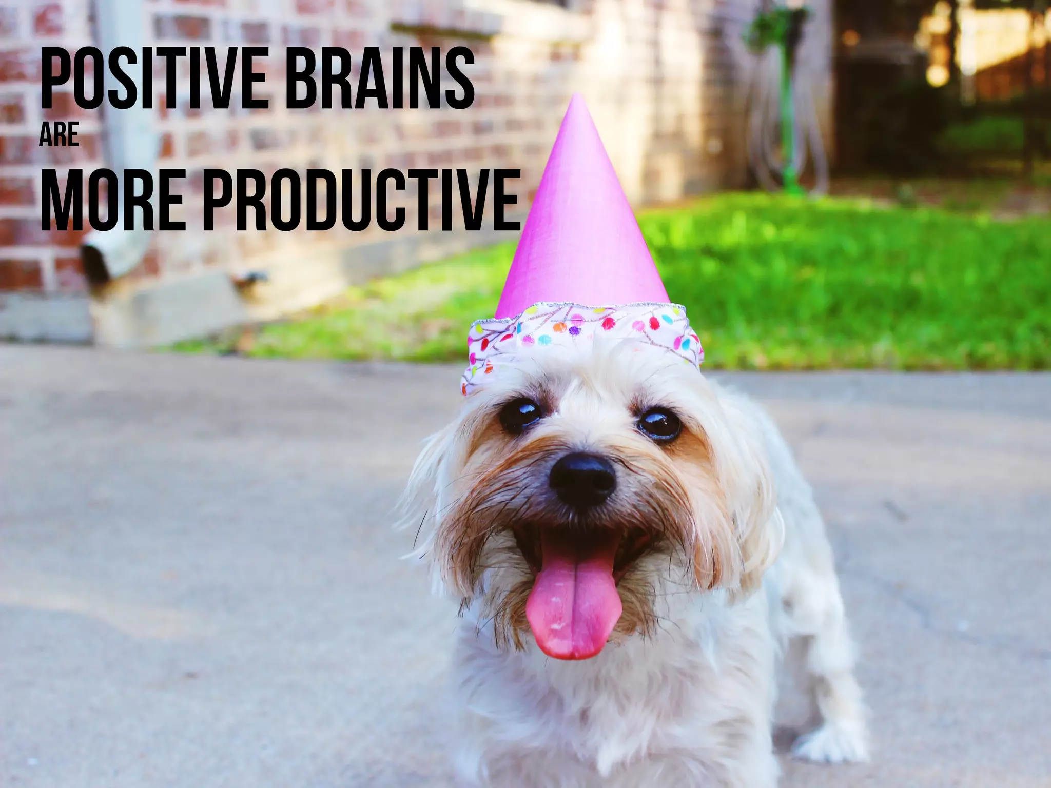 Effects of Positive Thinking | PDF