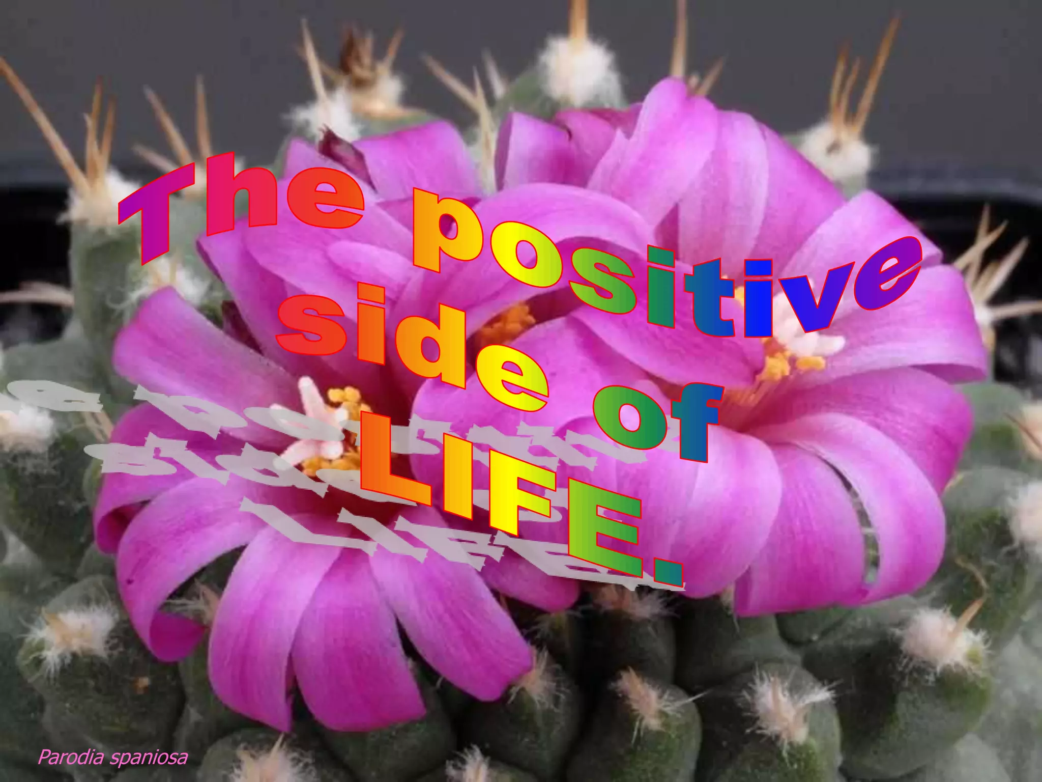 Positive side of life | PPS
