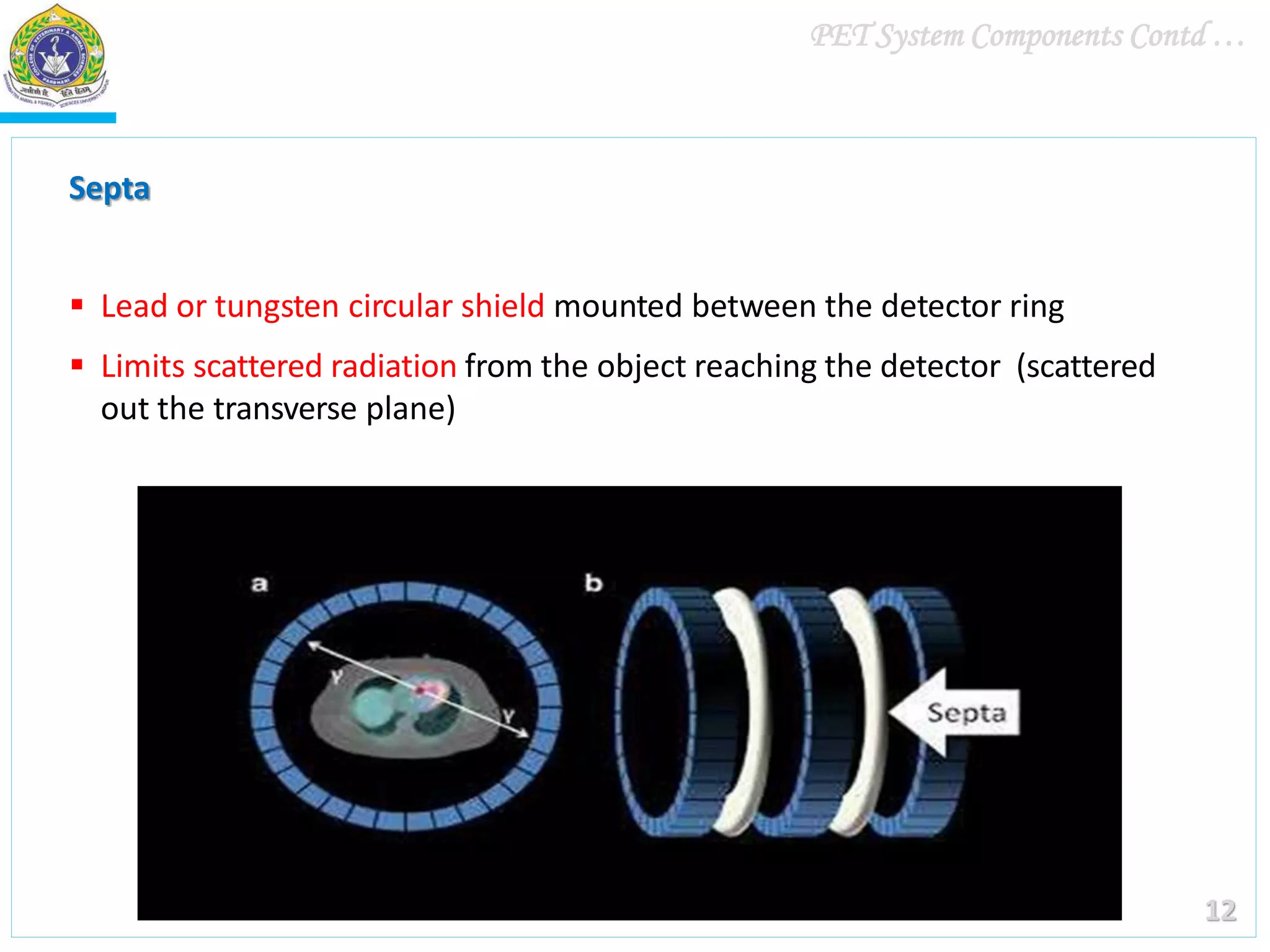 Positron emission tomography and its application in veterinary field | PPTX