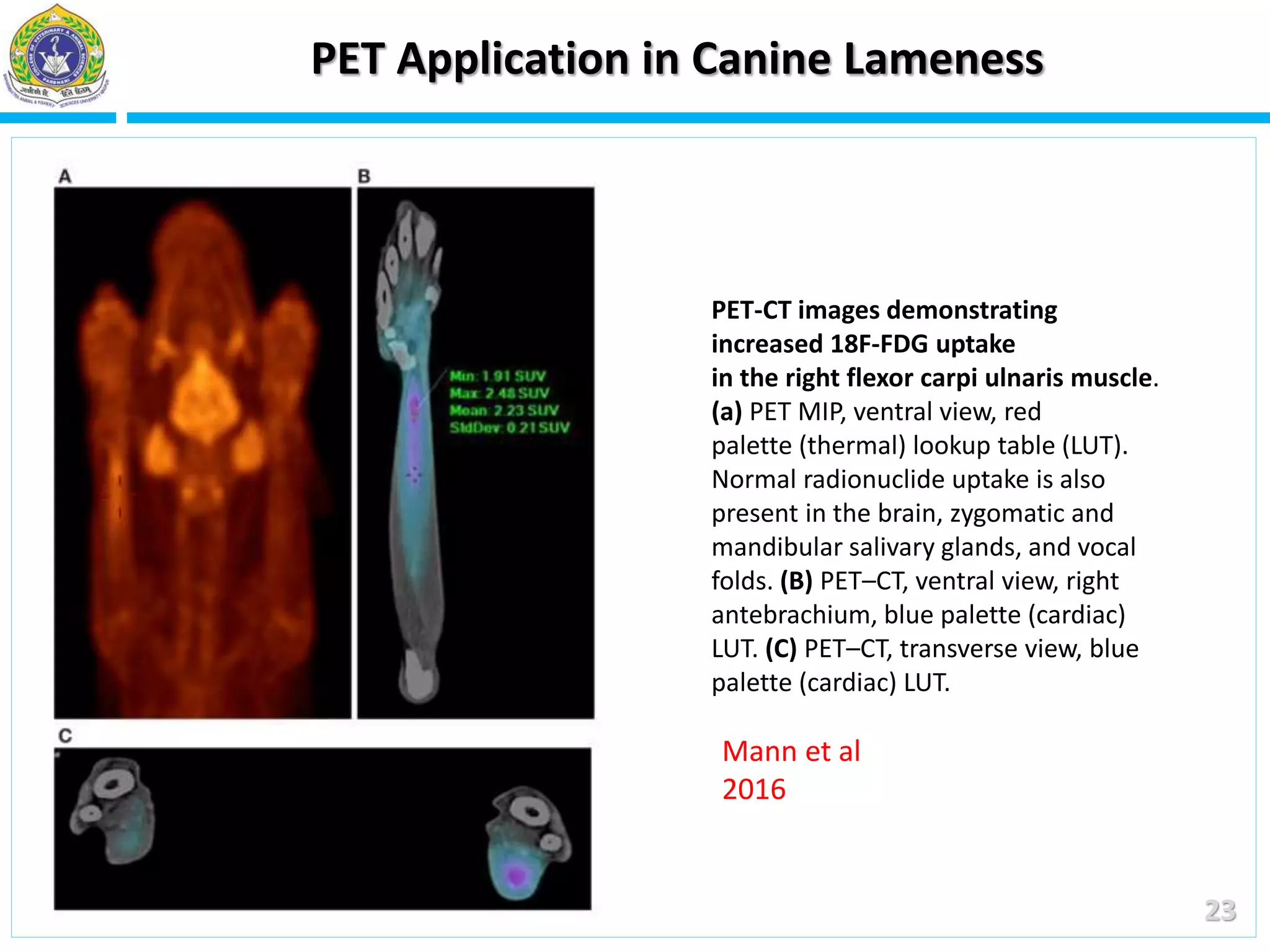Positron emission tomography and its application in veterinary field | PPTX