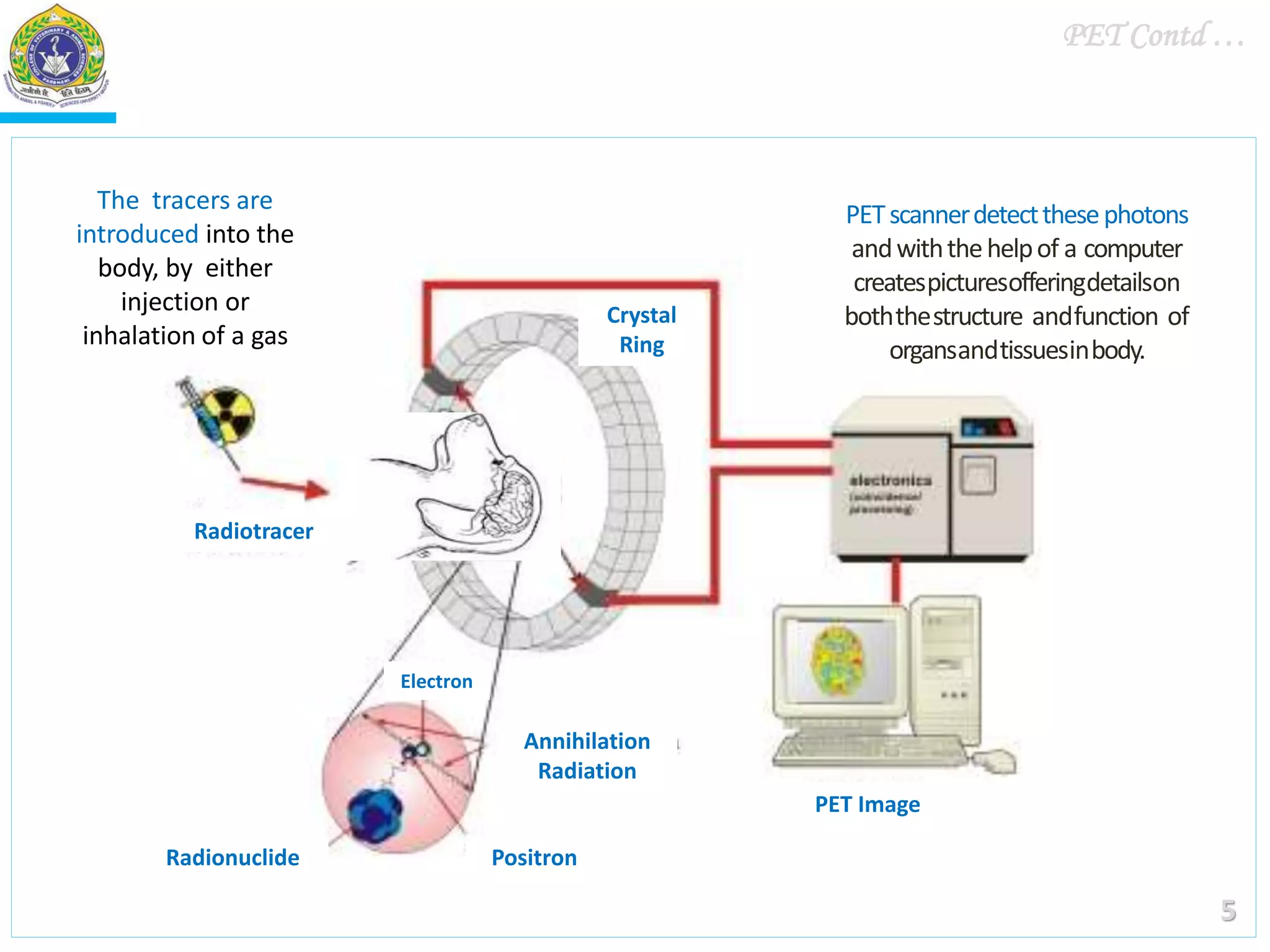 Positron emission tomography and its application in veterinary field | PPTX