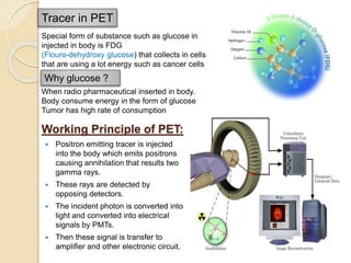 Pet Scanner Diagram