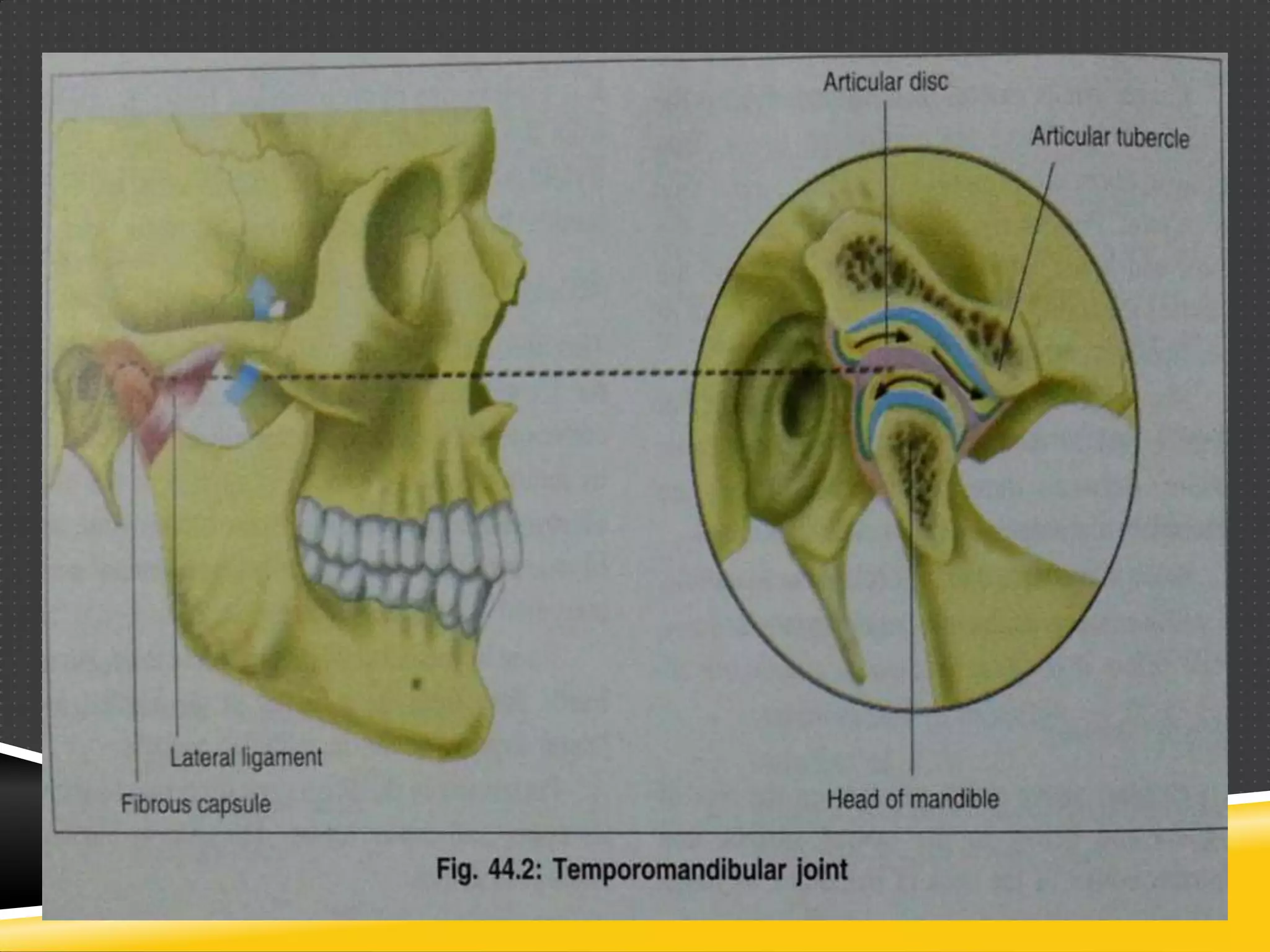Posselt’s envelope | PPTX
