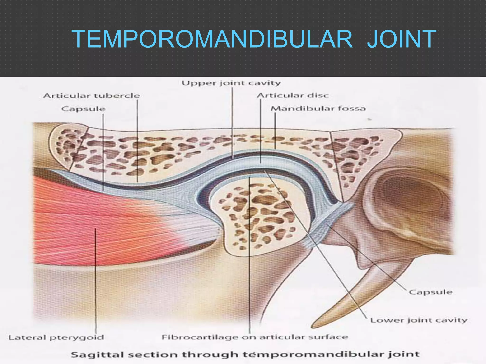 Posselt’s envelope | PPTX