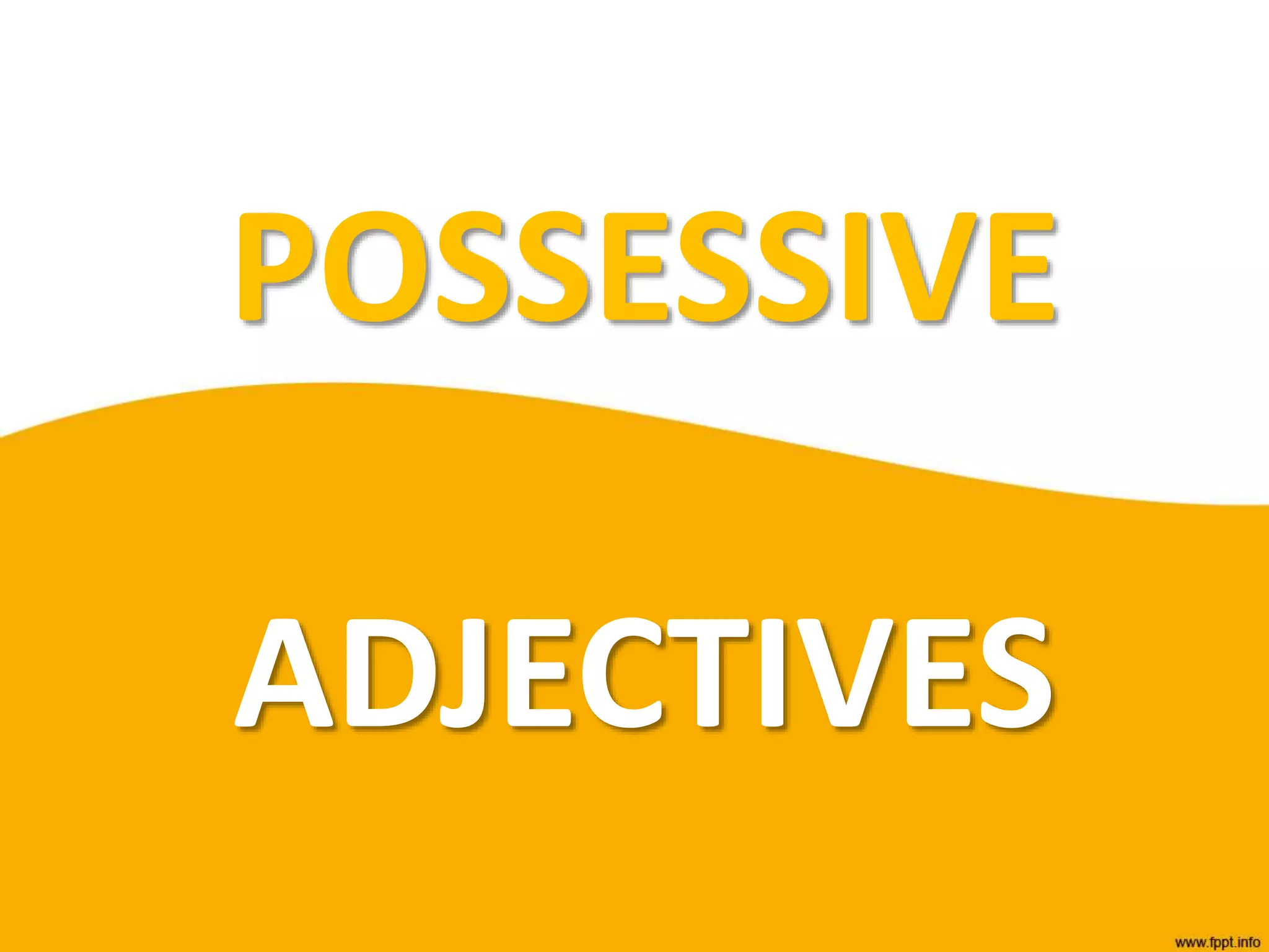 Possesive Adjectives | PPTX