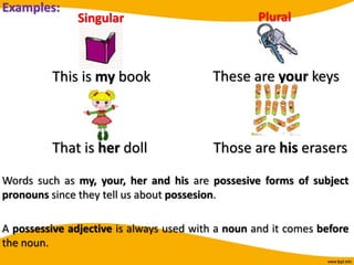 Possesive Adjectives | PPTX