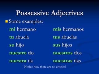 Possessive adjectives | PPTX