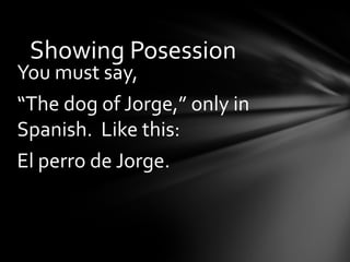 Possessive adjectives | PPT