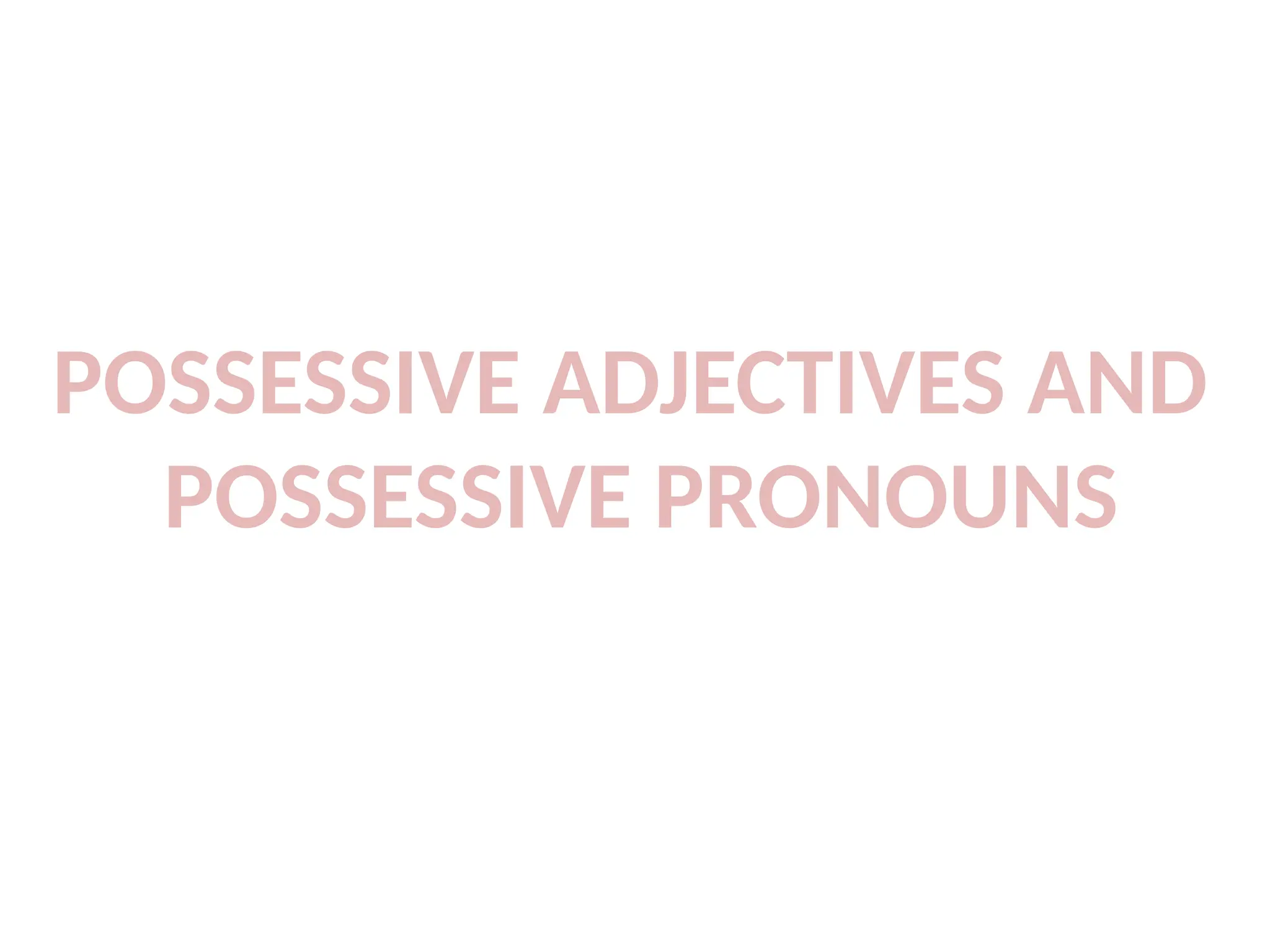 possessive-adjectives-and-pronouns-flashcards-oneonone-activities ...