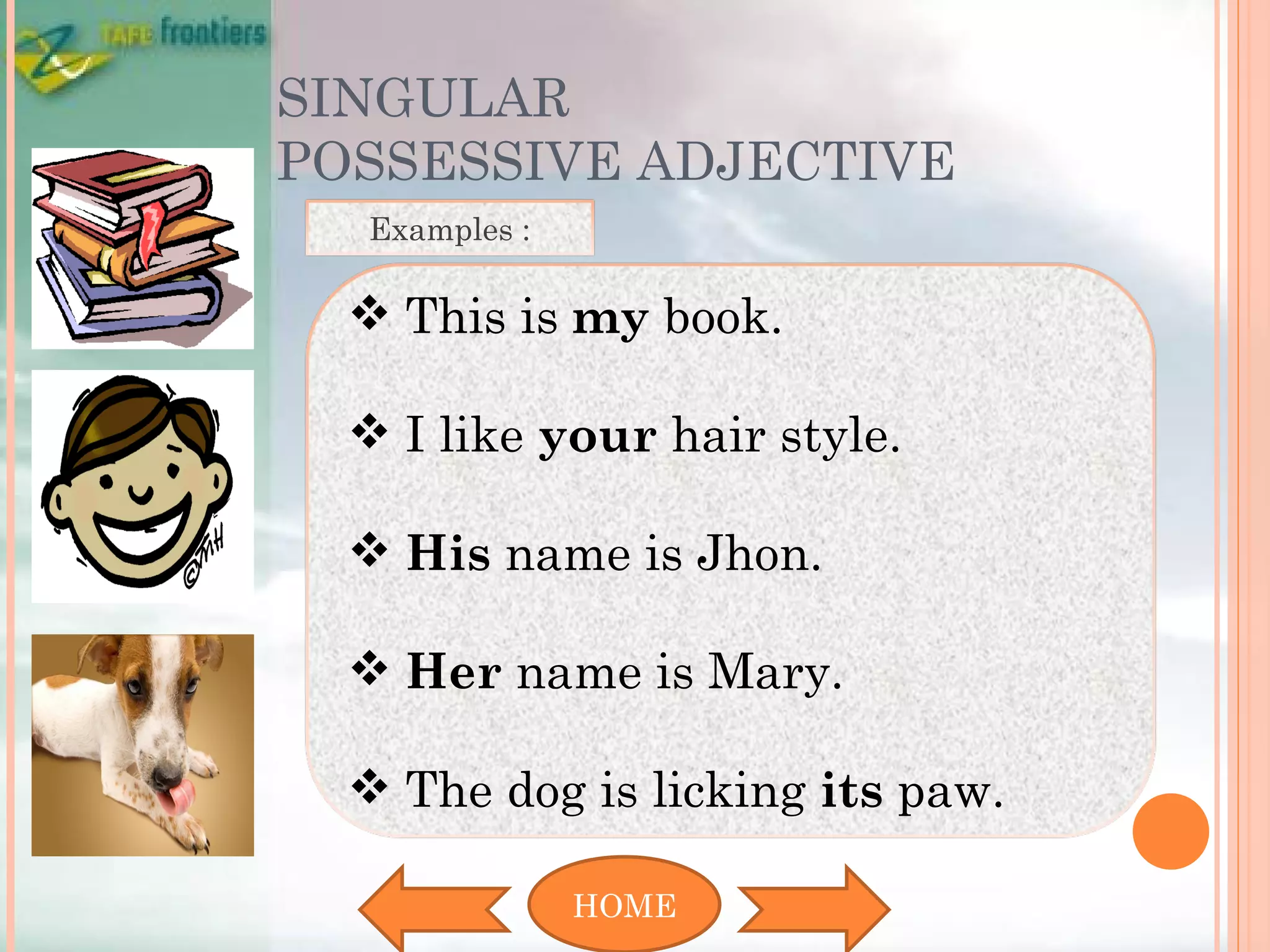 Possessive adjective | PPT