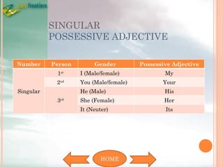 Possessive adjective | PPT