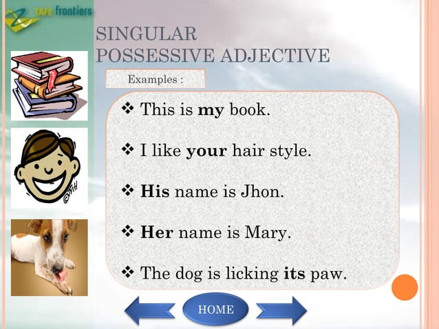 Possessive adjective | PPT