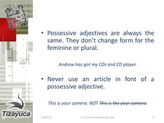 Possessive Adjective | PPTX | Dating | Family and Relationships