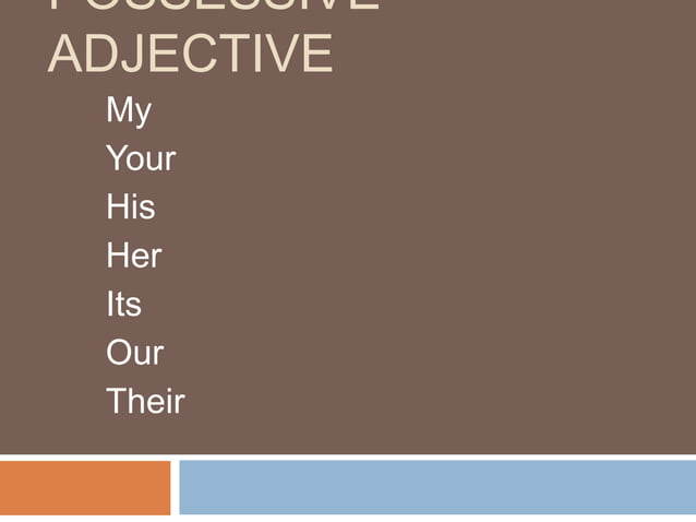Possessive adjective - game | PPTX