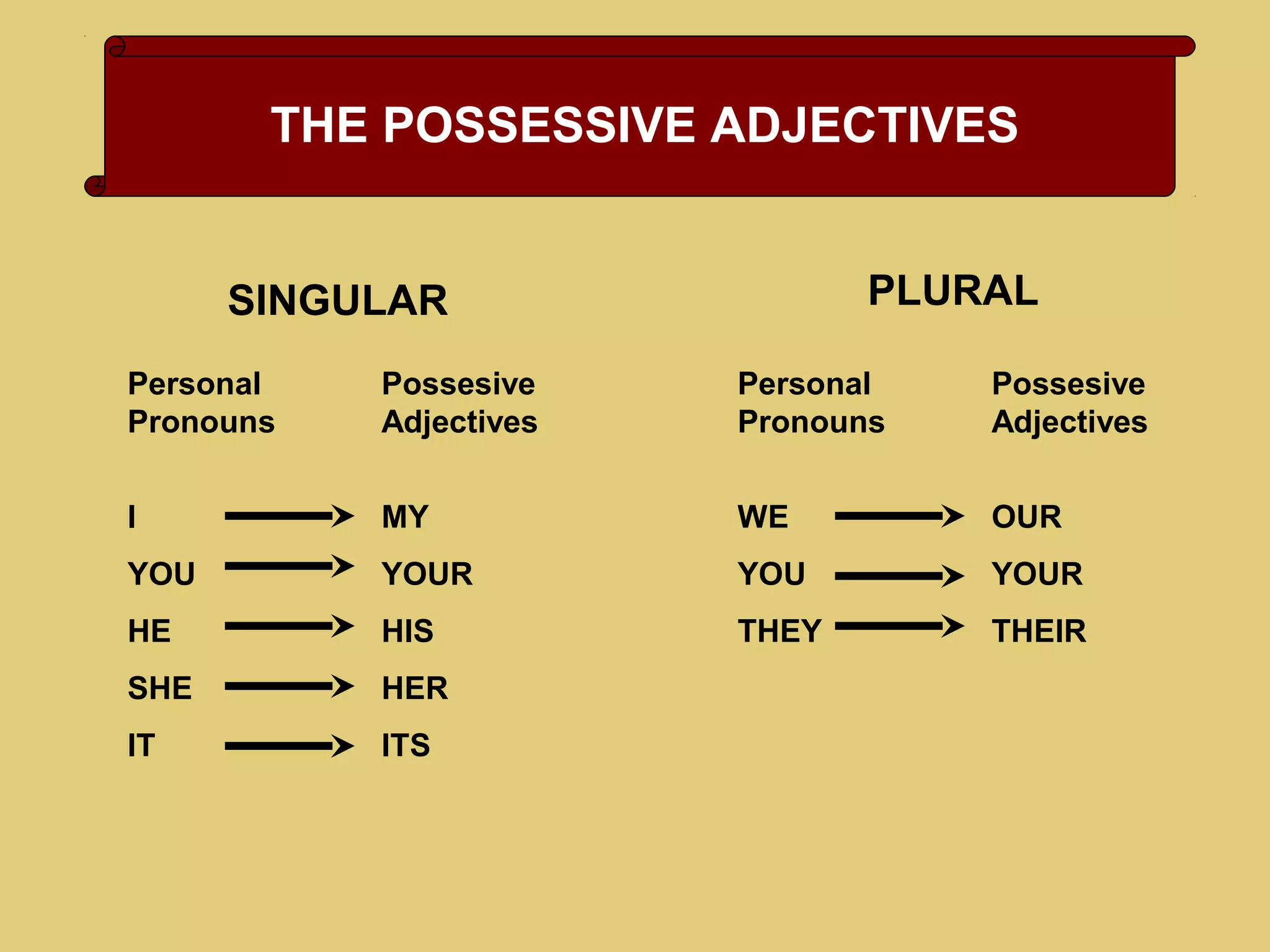 Possessive Adjectives | PPS