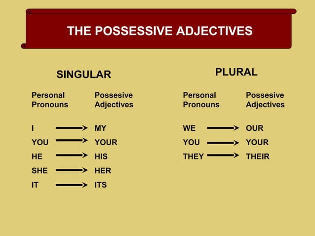 Possessive Adjectives | PPS