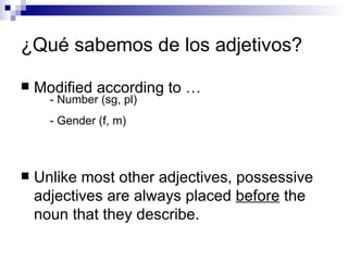 Spanish possessive adjectives | PPT