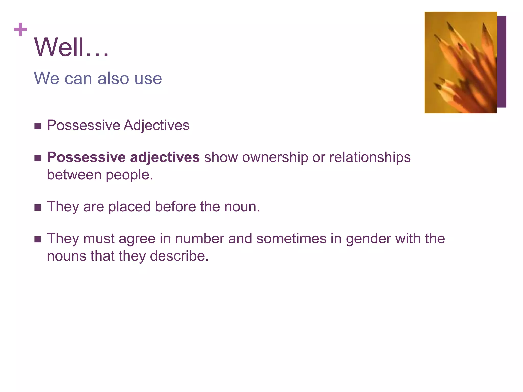 Possessive adjectives | PPTX