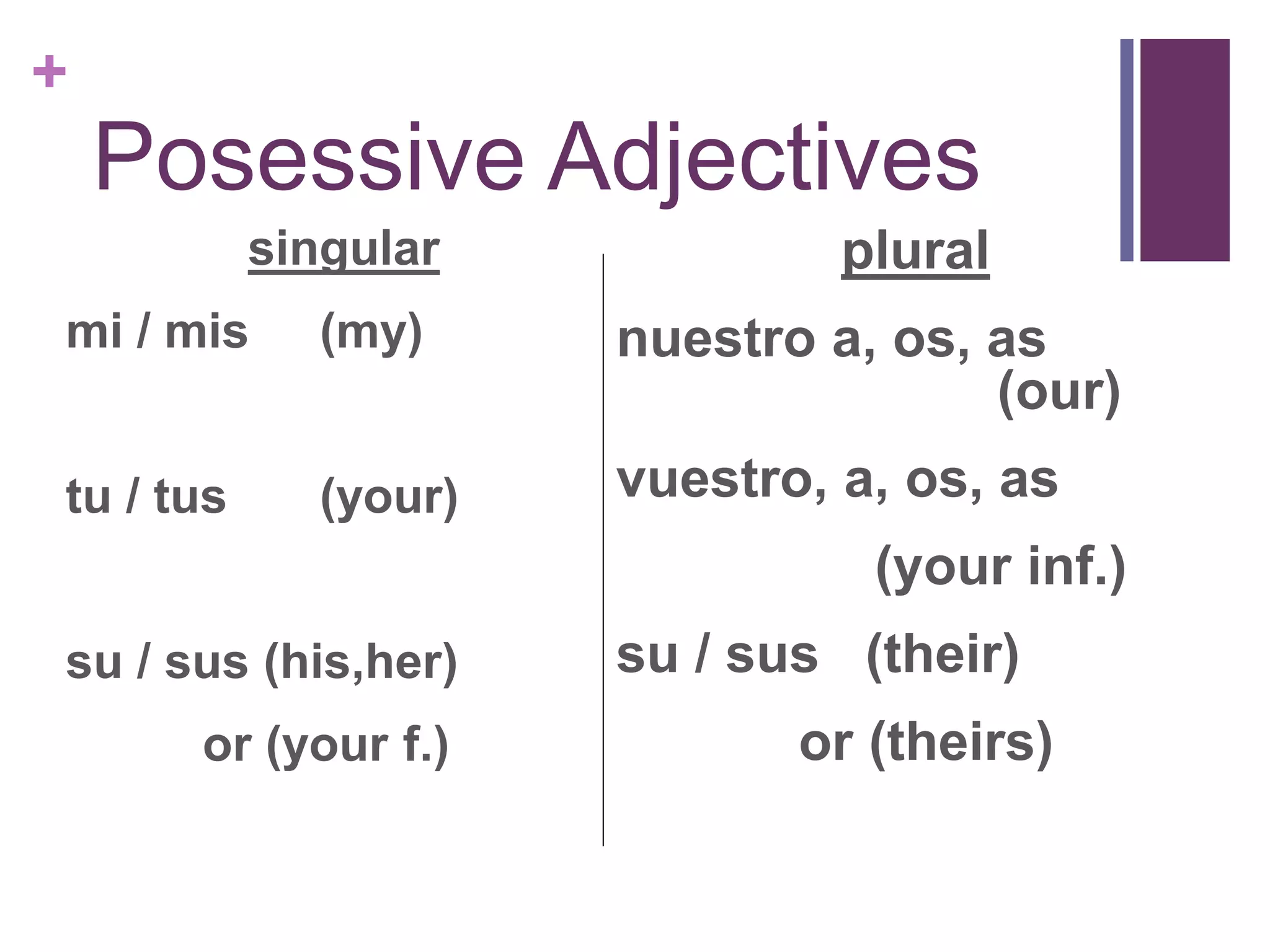 Possessive adjectives | PPTX