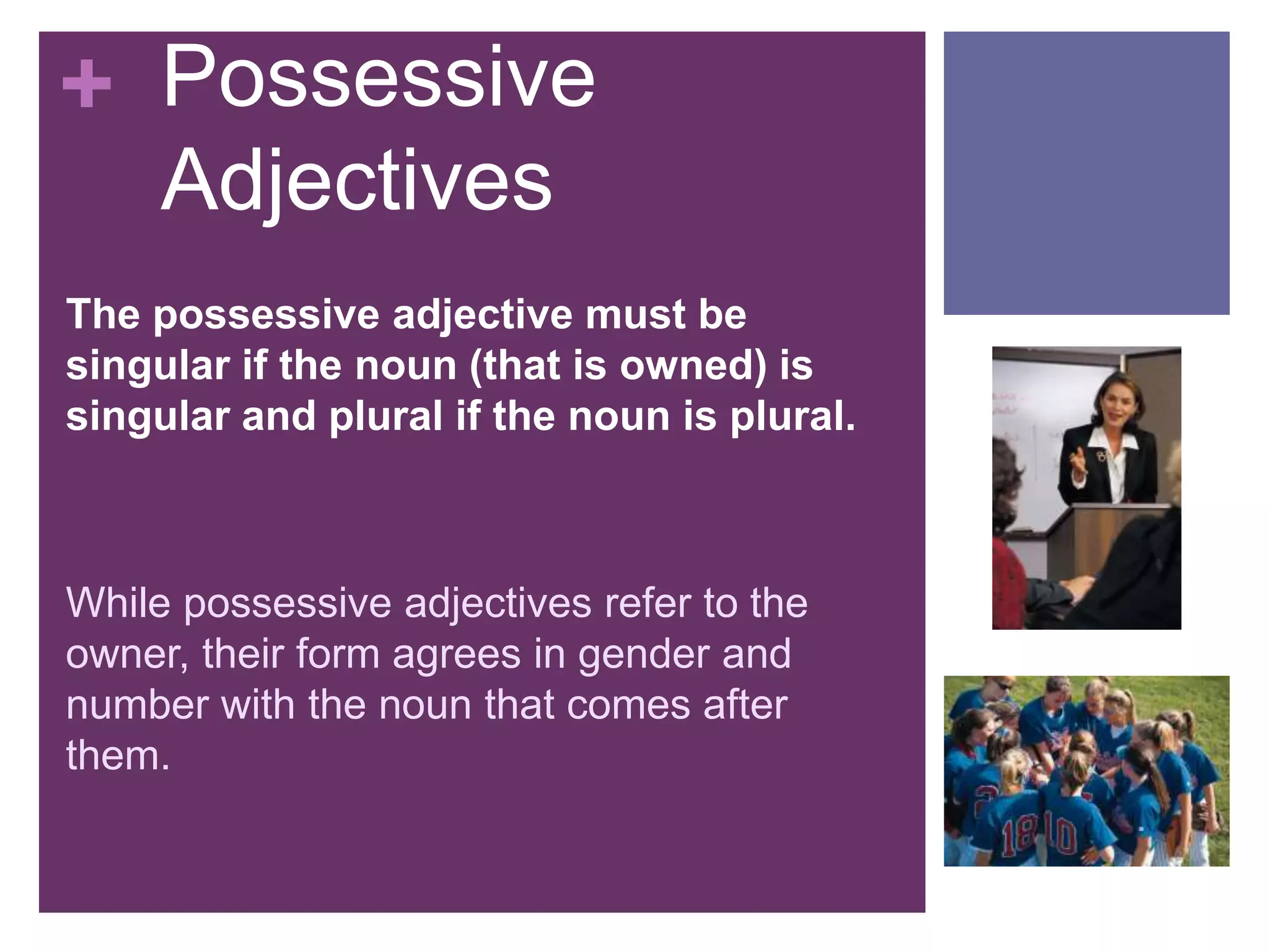Possessive adjectives | PPTX