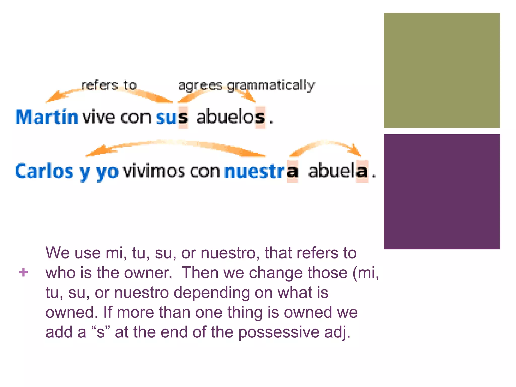 Possessive adjectives | PPTX