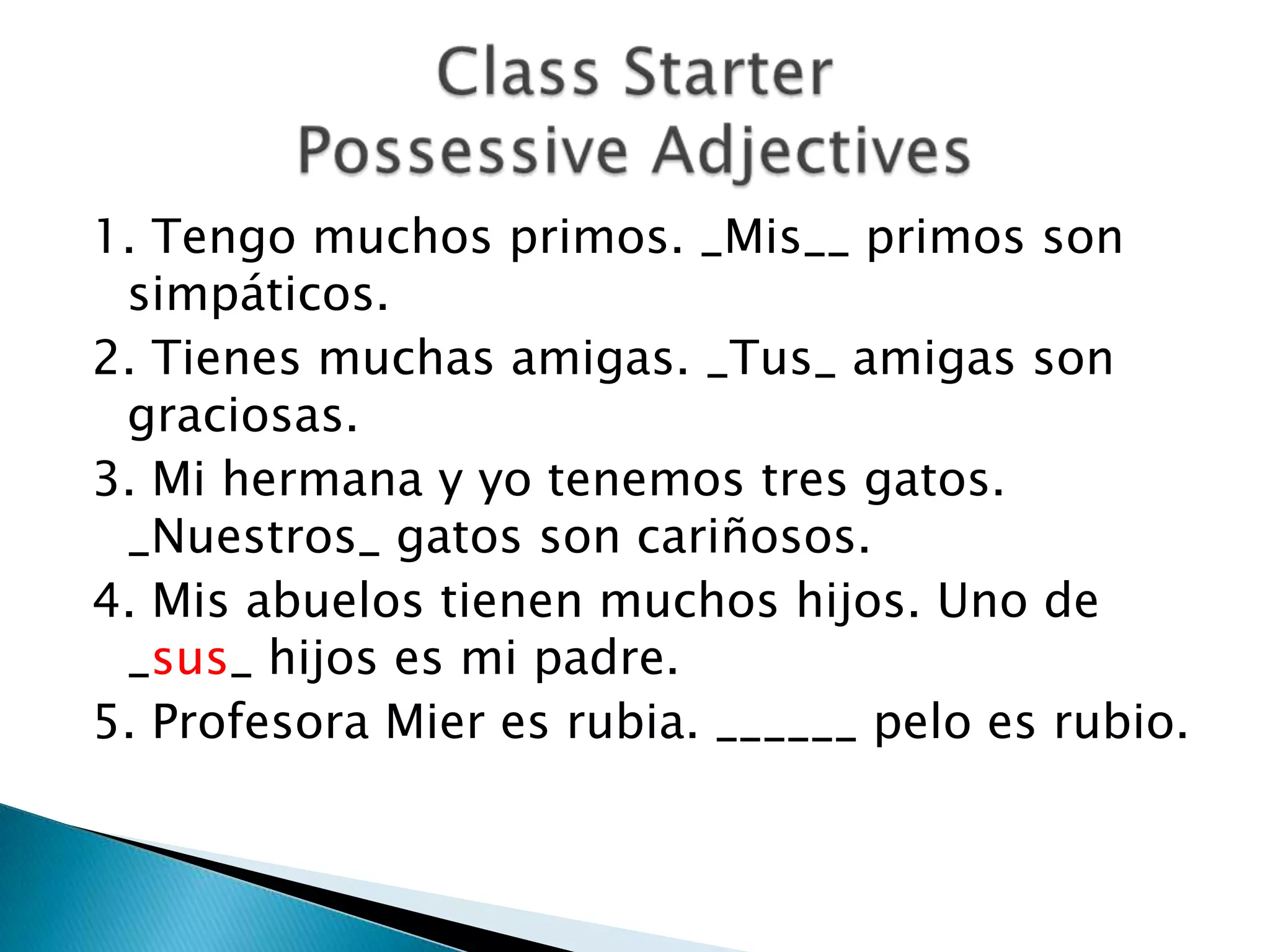 Possessive adjectives | PPTX