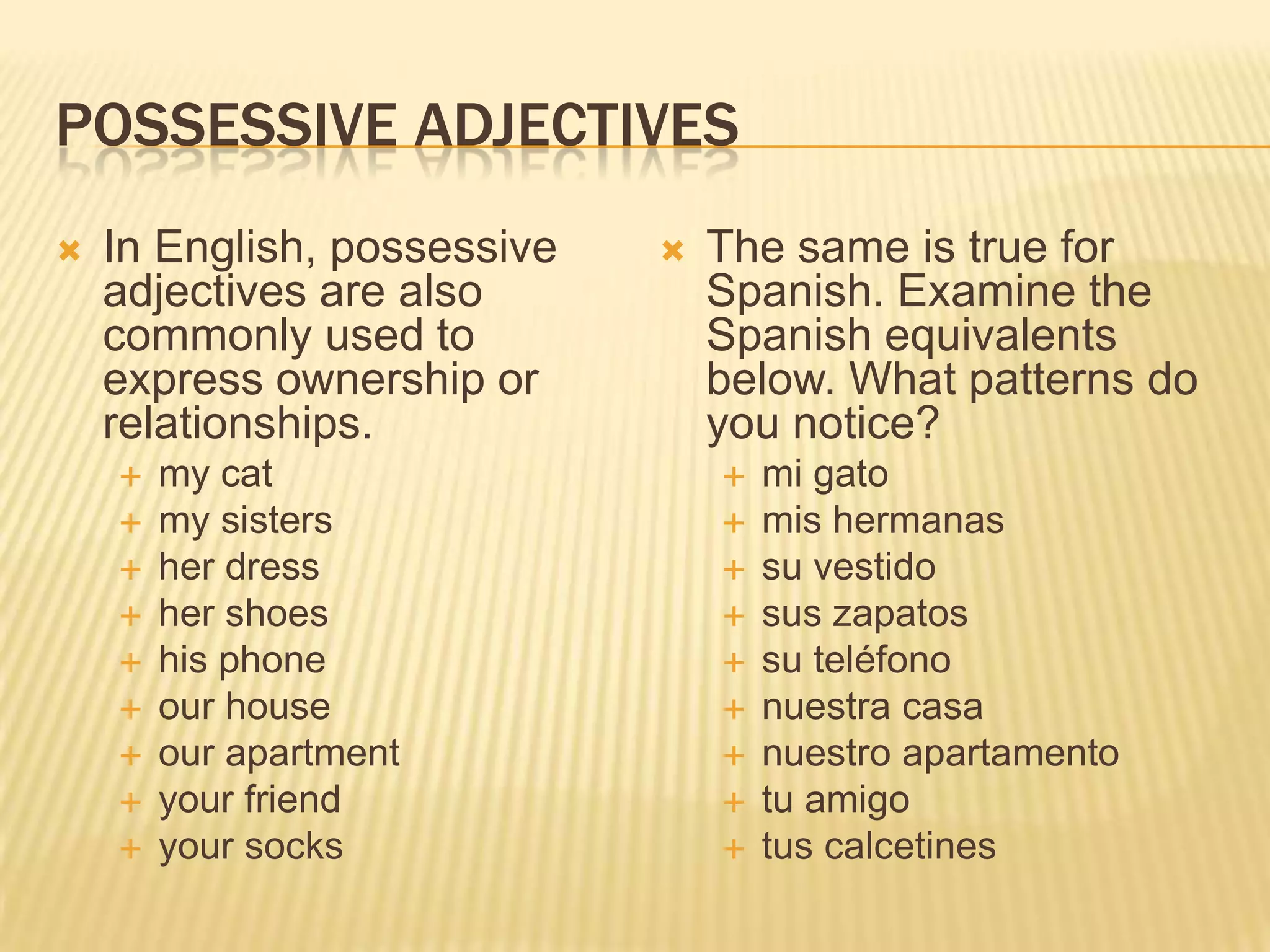 Possessive adjectives | PPTX